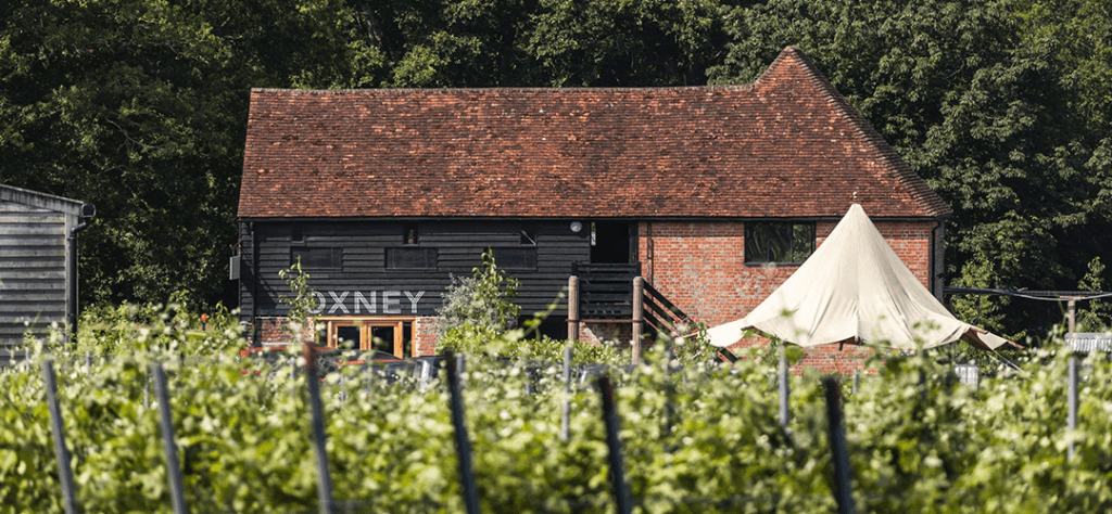 Spotlight on Oxney organic wine estate – Tunbridge Wells Business Magazine